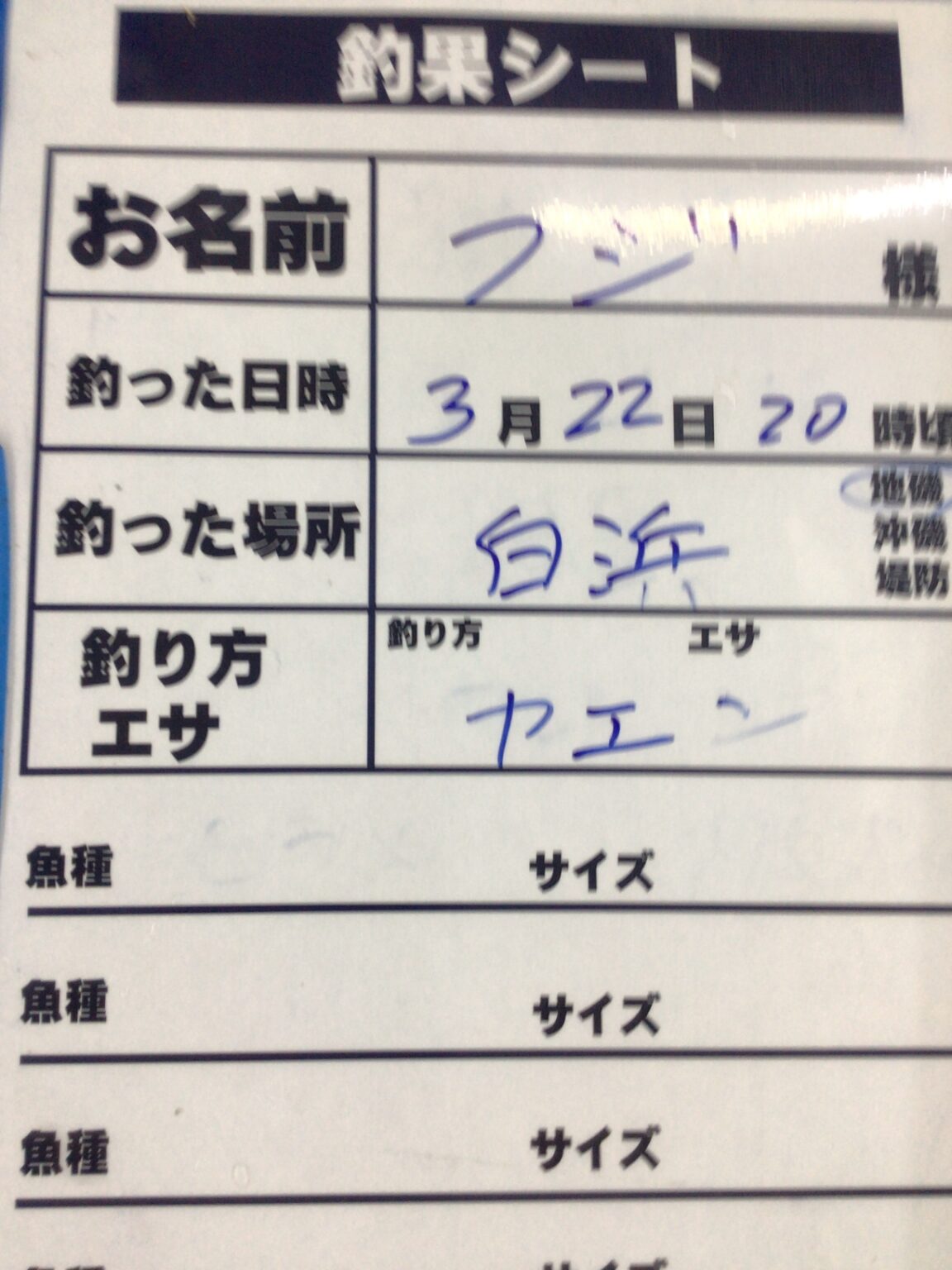 3/22(土) 白浜地磯にてアオリイカ2355g ヤエンにて